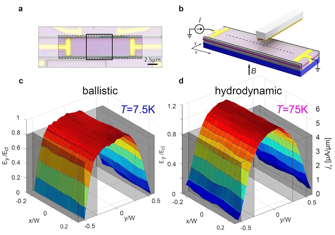 Quasi-hydrodynamics | Luca Martinoia