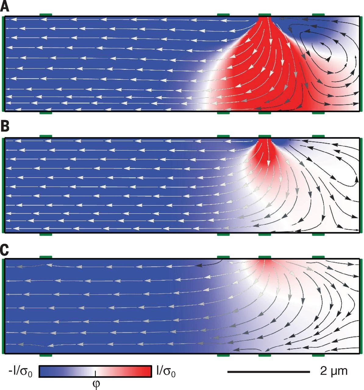 Quasi-hydrodynamics | Luca Martinoia